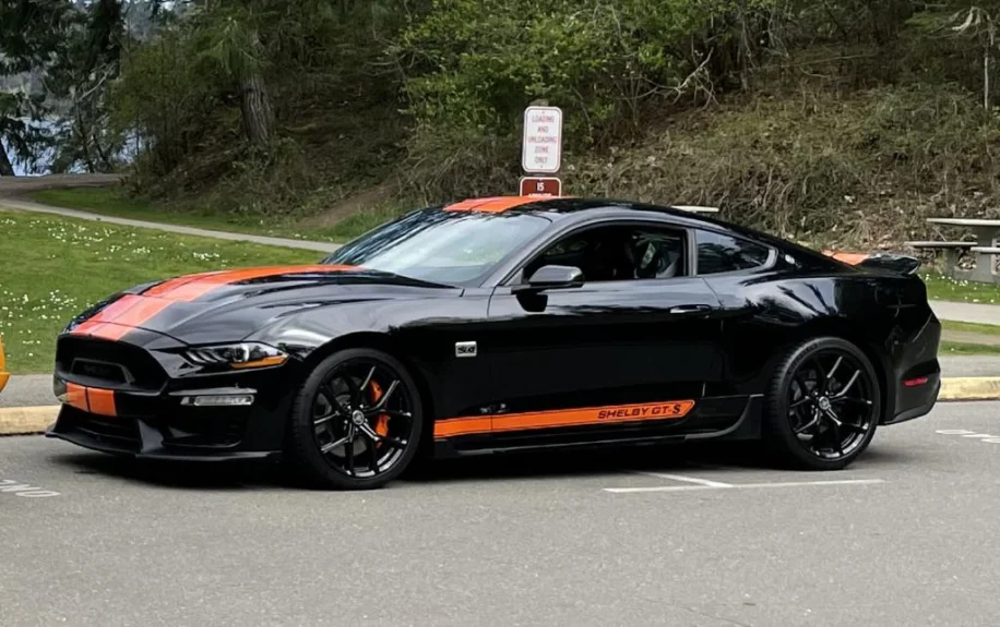 2019 Ford Mustang Shelby GT-S | duPont REGISTRY